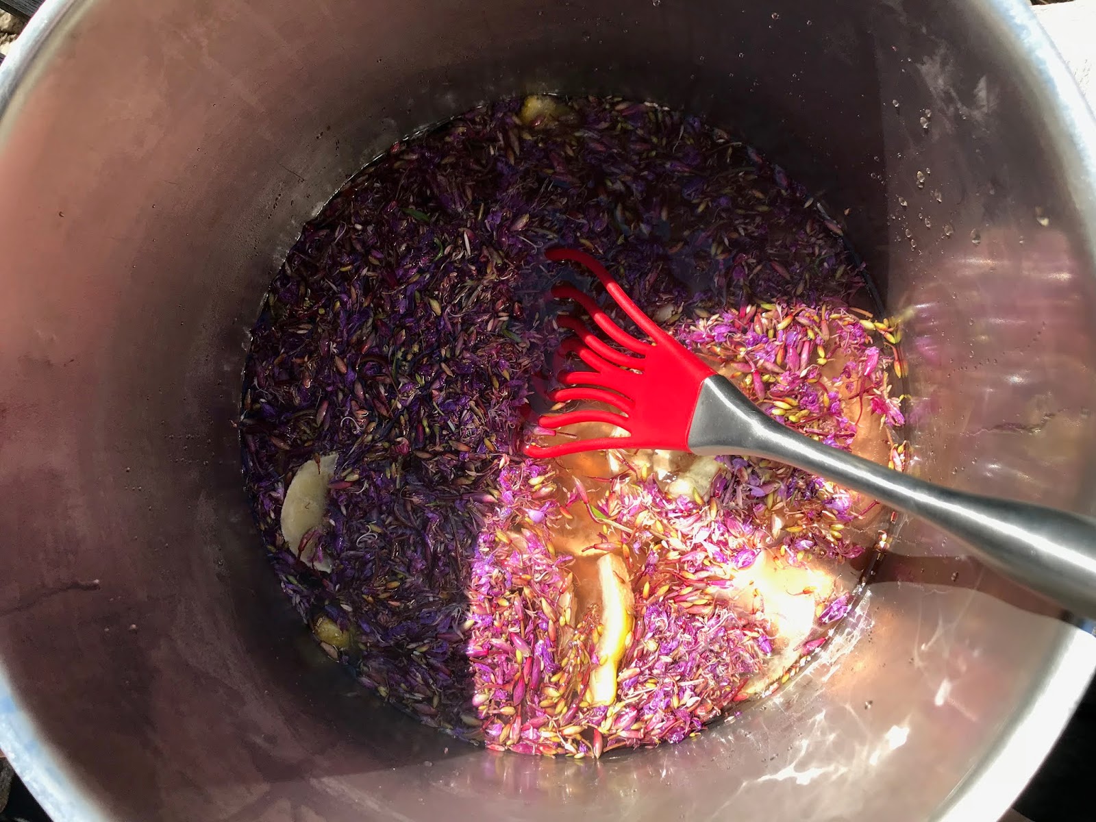 Vilt og vakkert: Saft av geiterams