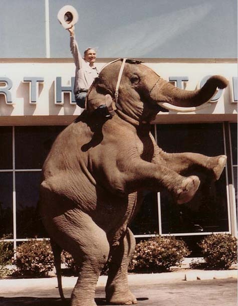 The Automobile and American Life: Only in America: Cal Worthington, TV ...