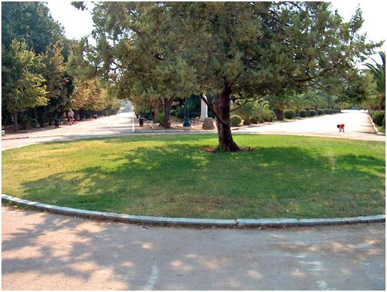 ΔΗΜΟΣ ΑΓΡΙΝΙΟΥ: AΠΑΝΤΗΣΗ ΑΠΟ ΤΗ ΔΙΕΘΥΝΣΗ ΤΕΧΝΙΚΩΝ ΥΠΗΡΕΣΙΩΝ ΓΙΑ ΤΗΝ ...