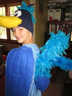 I make stuff: the road runner