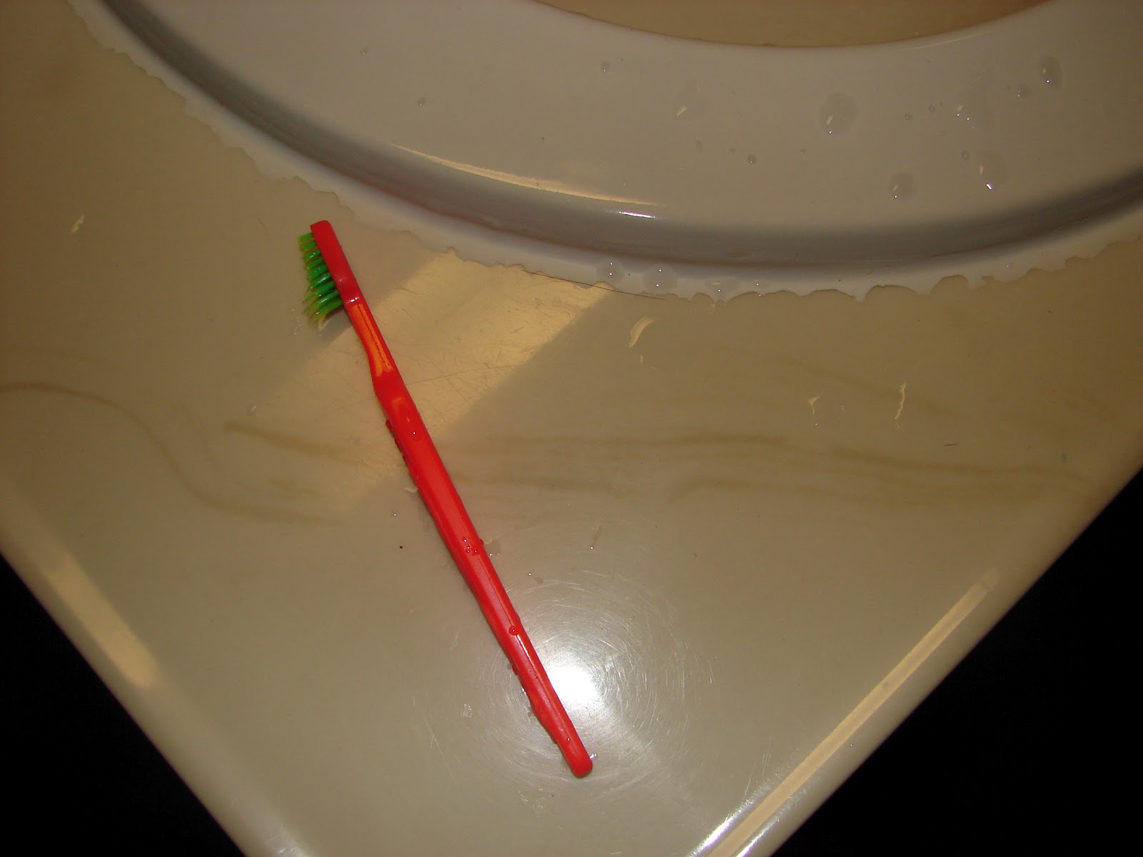 My Dear Trash: The Soft, Sweet Accomodating Toothbrush and a Creative ...