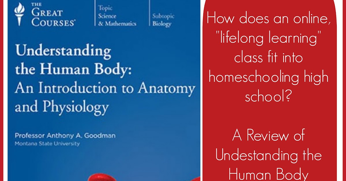 Adventures with Jude: The Great Courses ~ Understanding the Human Body ...