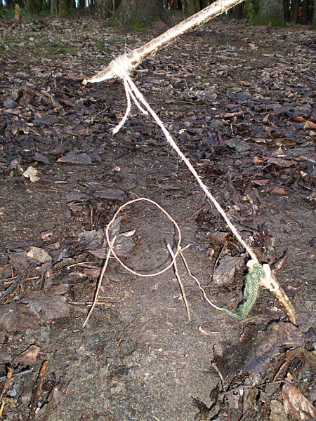 A Hermit's Diary: A quest for meat