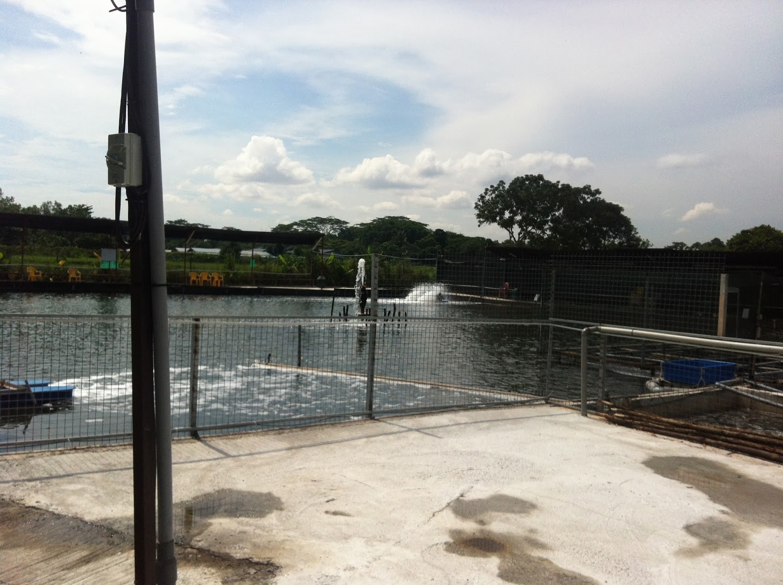 Fishing Empire: Ah Lim Fishing Pond