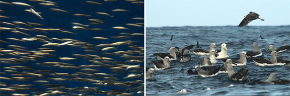 NephiCode: August 2012