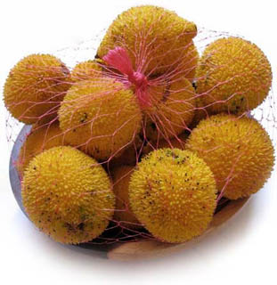 Ocoró, fruto bien camba | El Chef dice