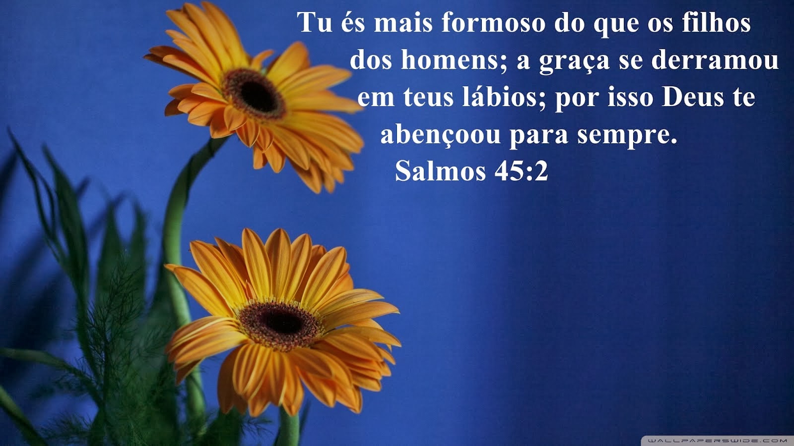 Palavra Eficaz : Cetro de Equidade-Salmo 45:6