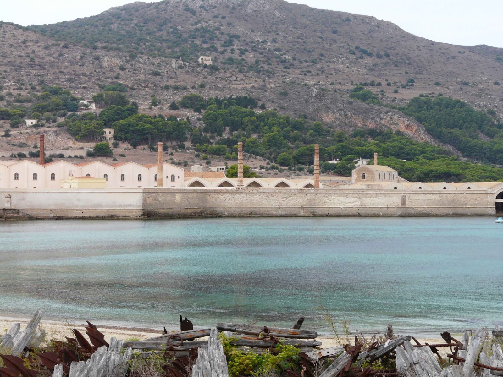 Favignana Trip report