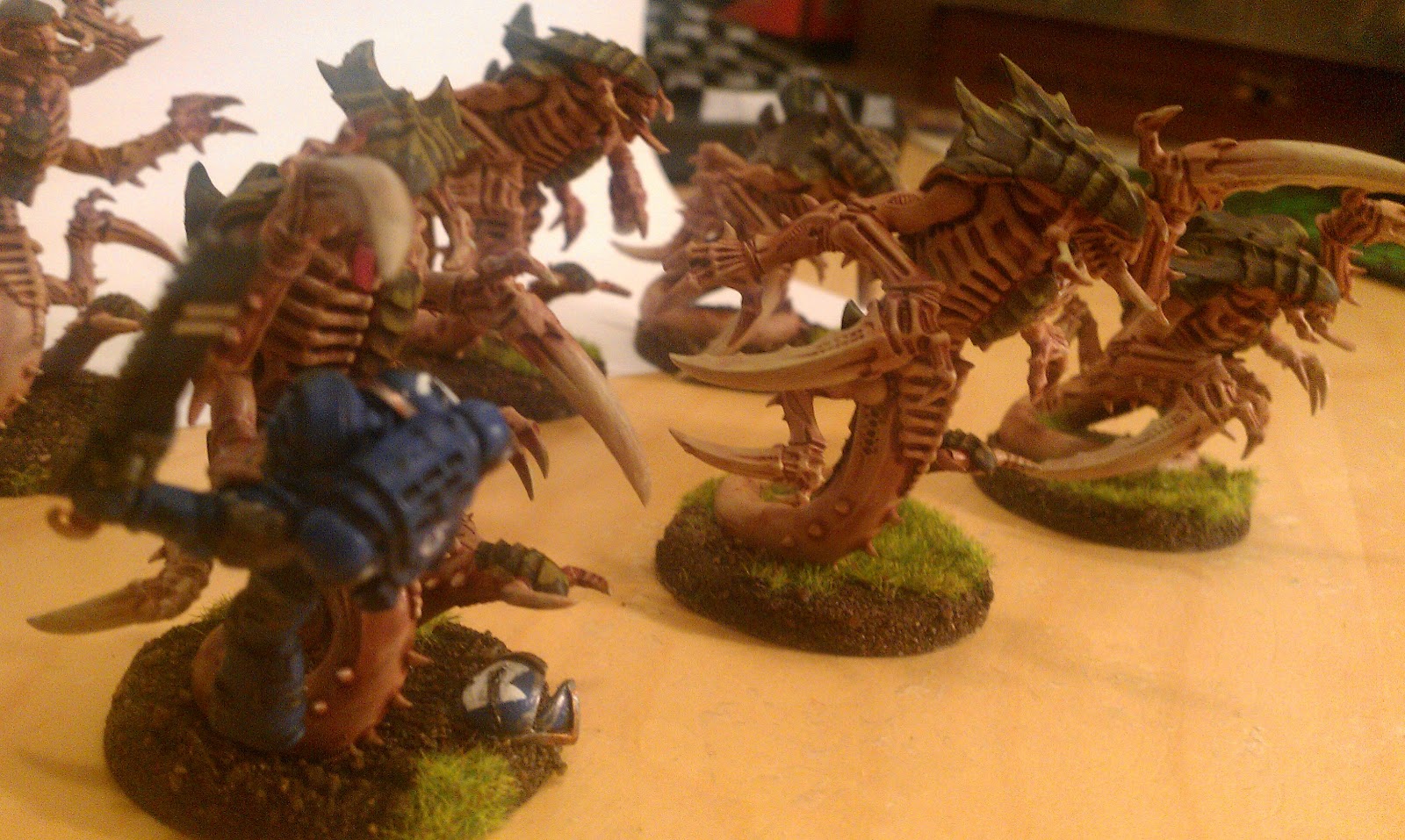 Shaken Not Stunned: Ethrion's Tyranids