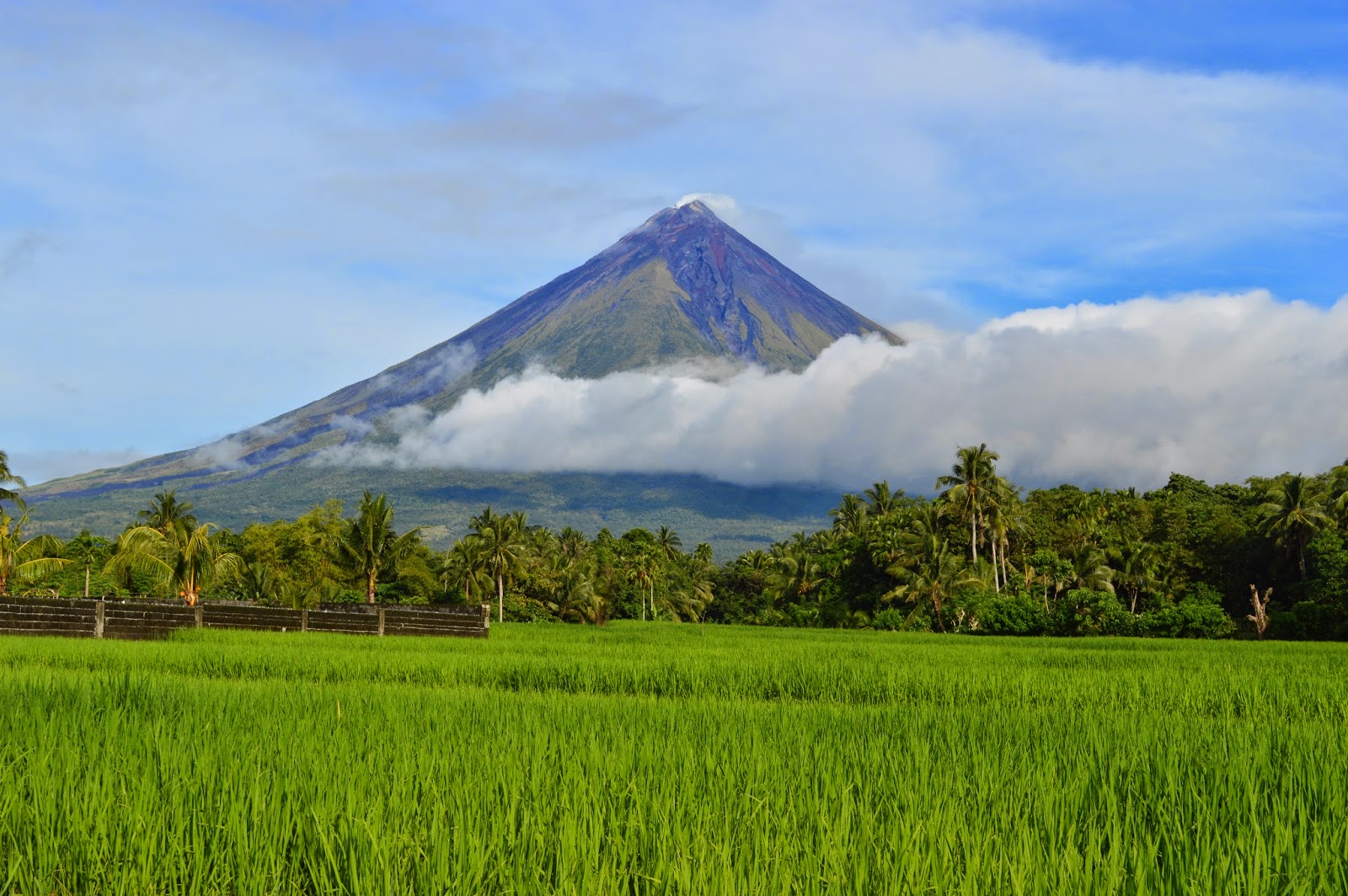 5 Reasons Why Mayon Volcano Rocks - Pinoy Bonsai