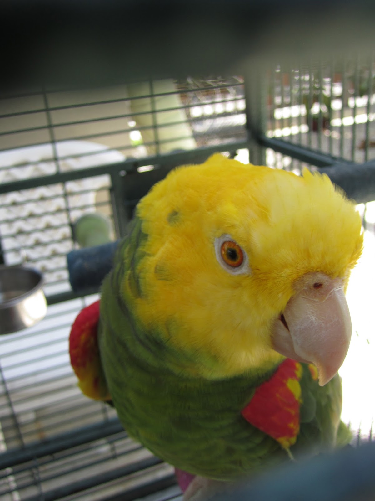 Key Largo Florida: Photographing plants, animals, and a sunset boat ride!