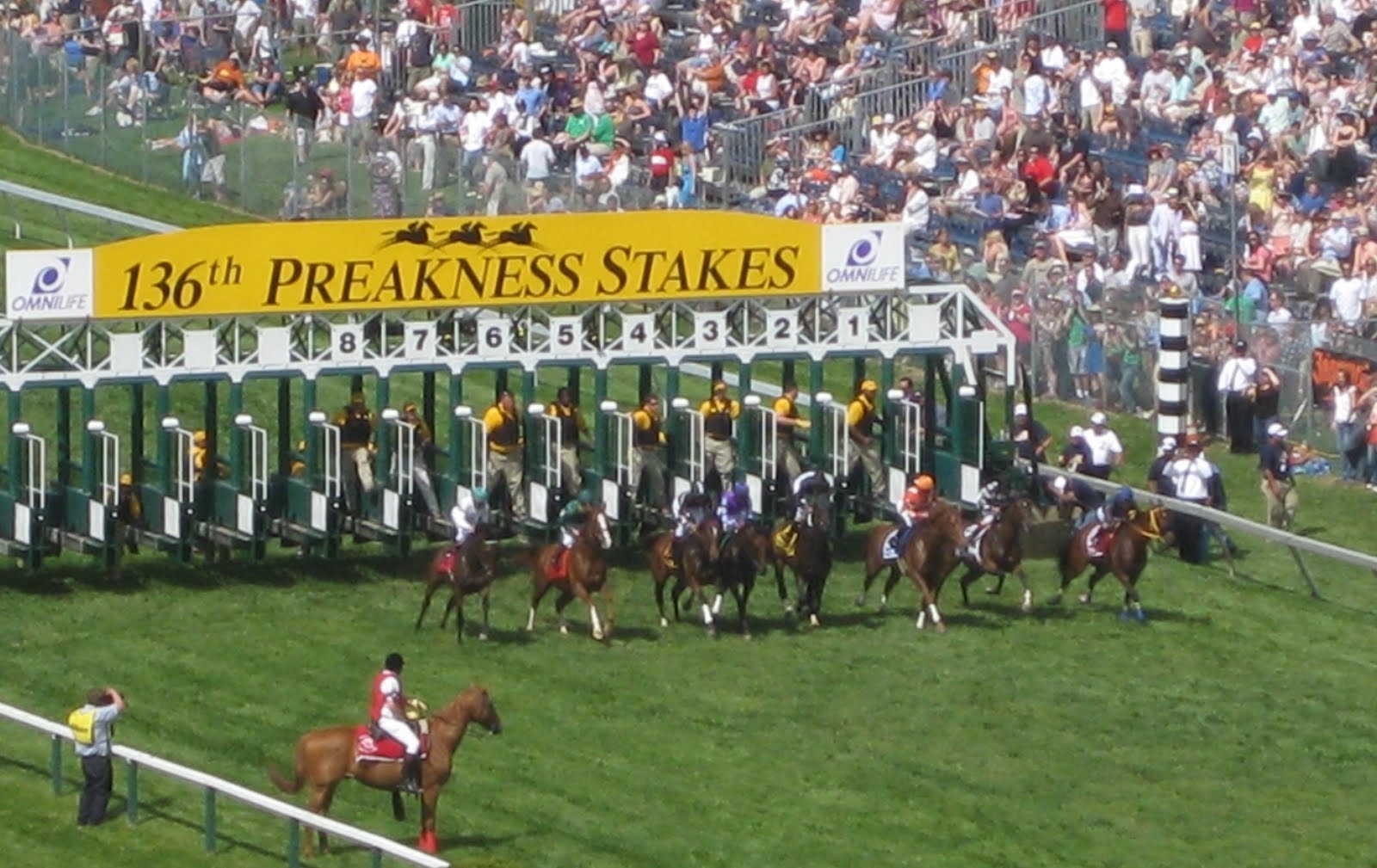 EquiSpace: Preakness Weekend: Did You Love Shack?
