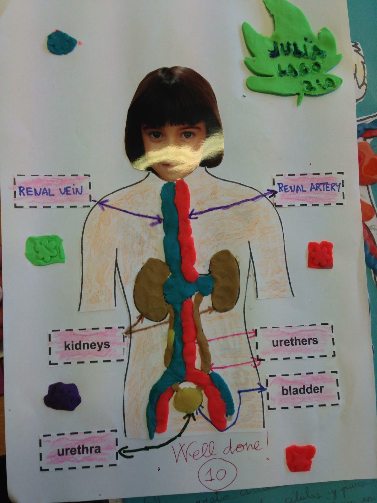 PauloFreire*SEGUNDOSOMOS*: NATURAL SCIENCE PROJECTS 2ºB