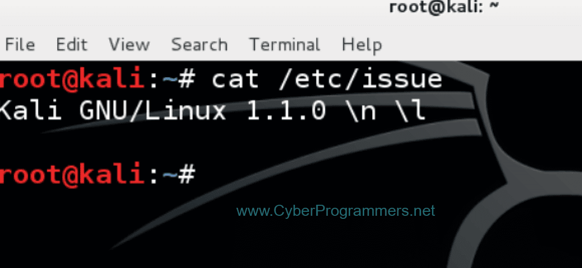 How to Check/View the Kali Linux version using Terminal - Cyber ...