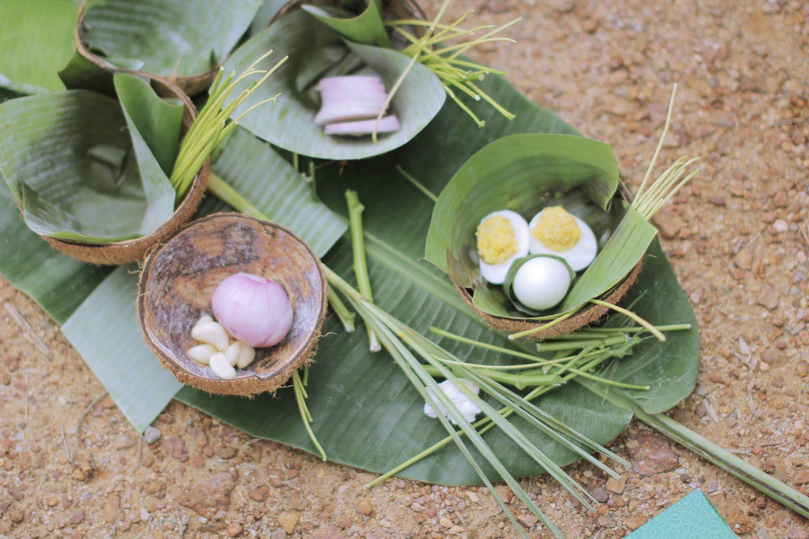 qurra: Masakan Rimba