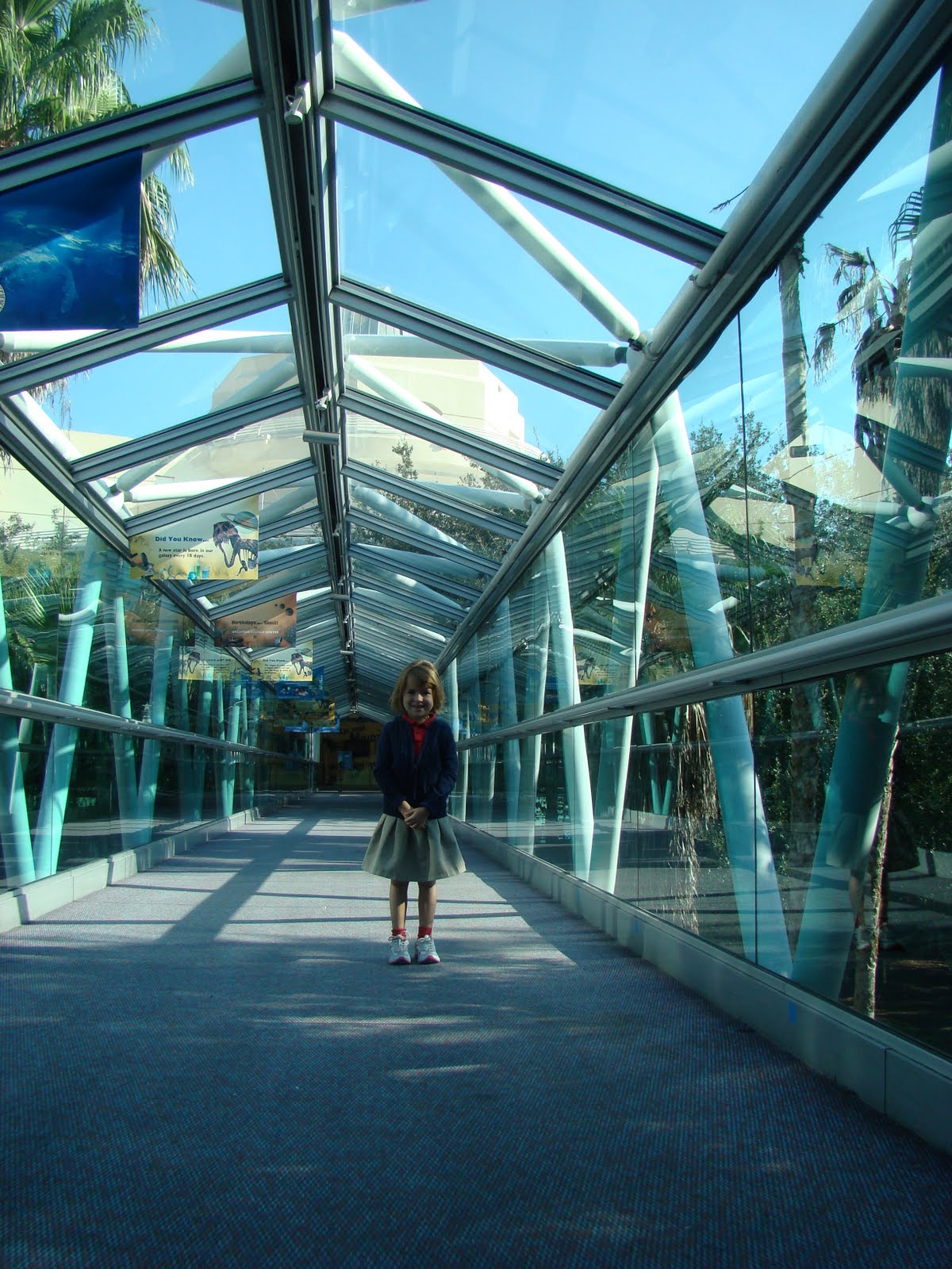 Holloway Family Adventures: Field Trip!! Science Museum