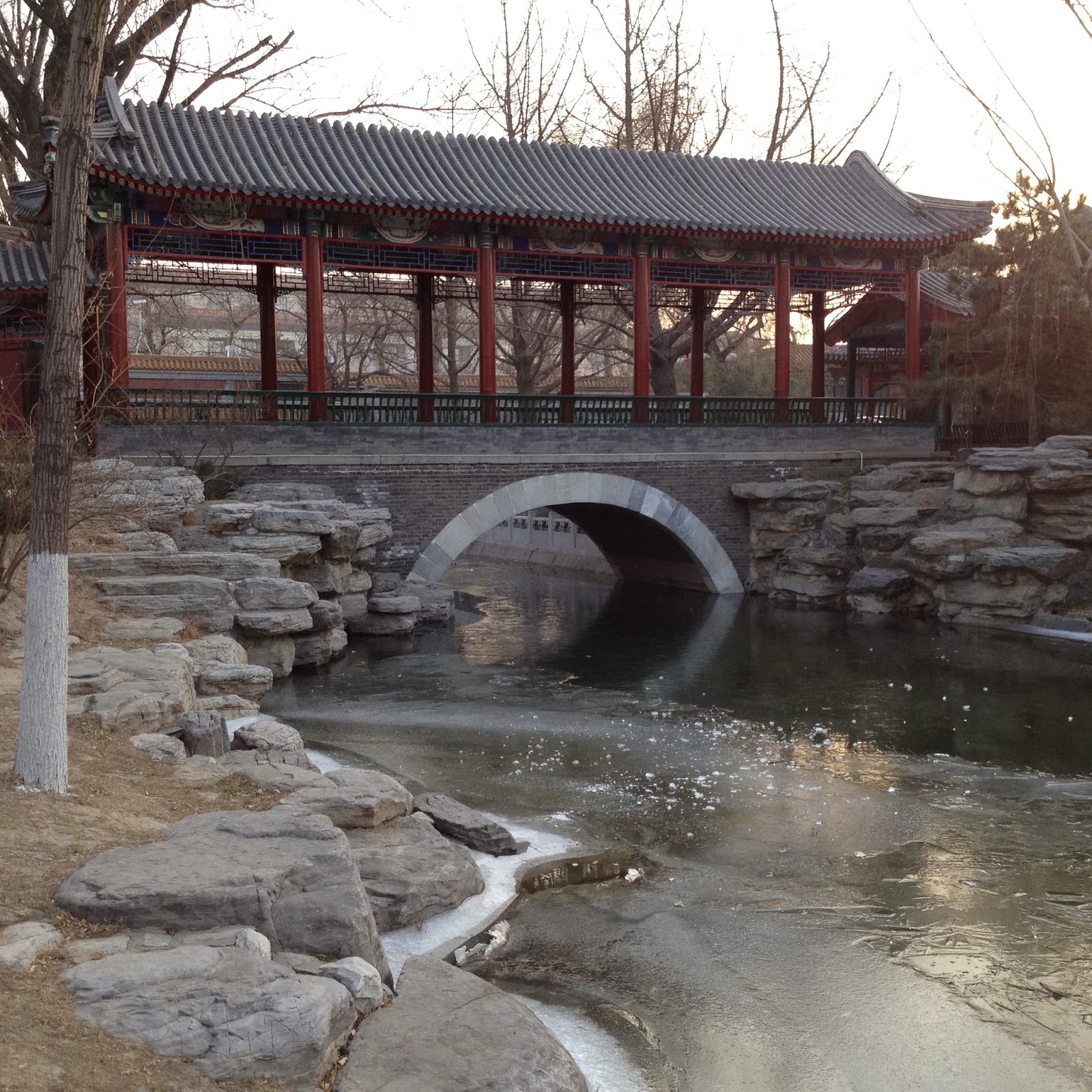 Biokipos: ΚΗΠΟΤΕΧΝΙΑ ΣΤΟ ΠΕΚΙΝΟ