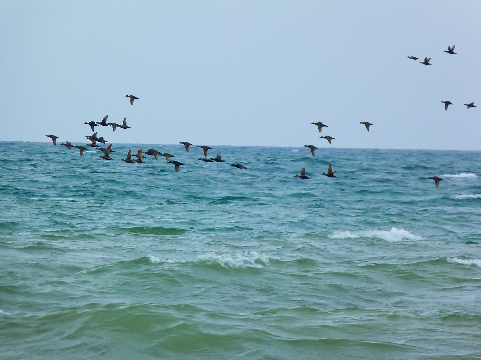 Skagen - Where Two Seas Collide |Blissful Solitary Wanderings