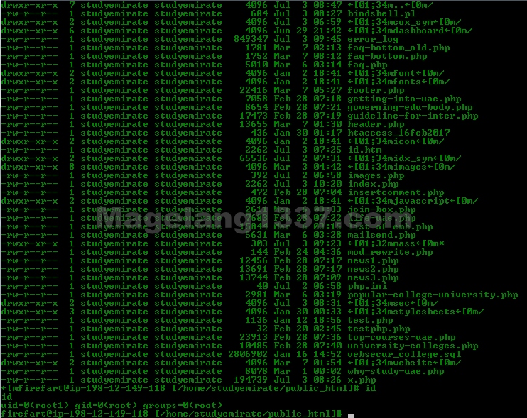 Mass Deface After Rooting Server