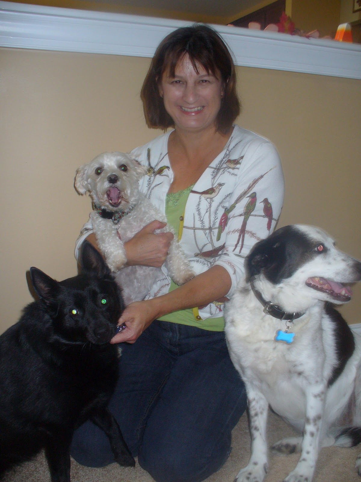 coffee with a canine: Debbie Dadey & Bailey, Skippy and Shadow