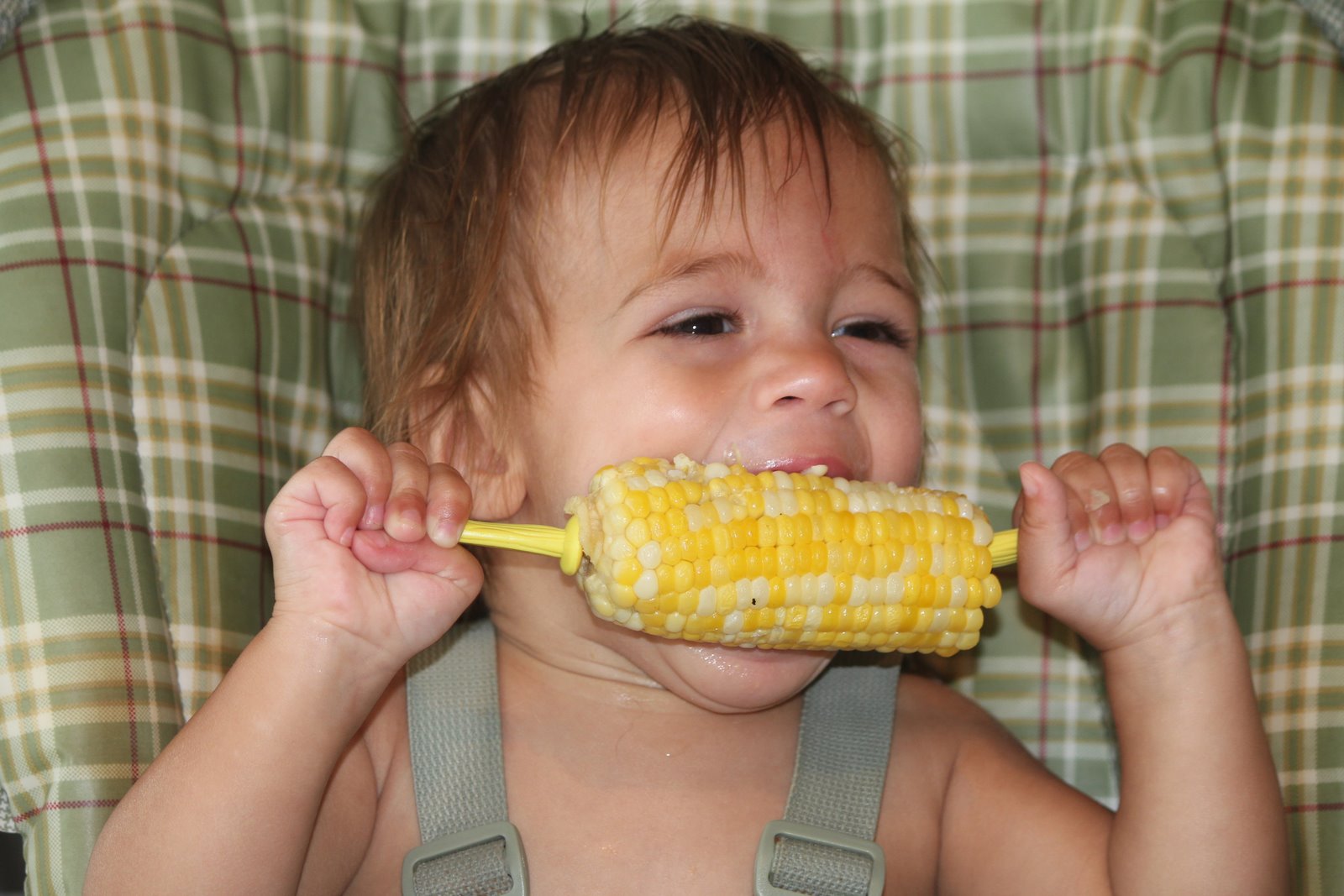 Sikes Family Blog: MMM! Corn on the cob mommy grilled
