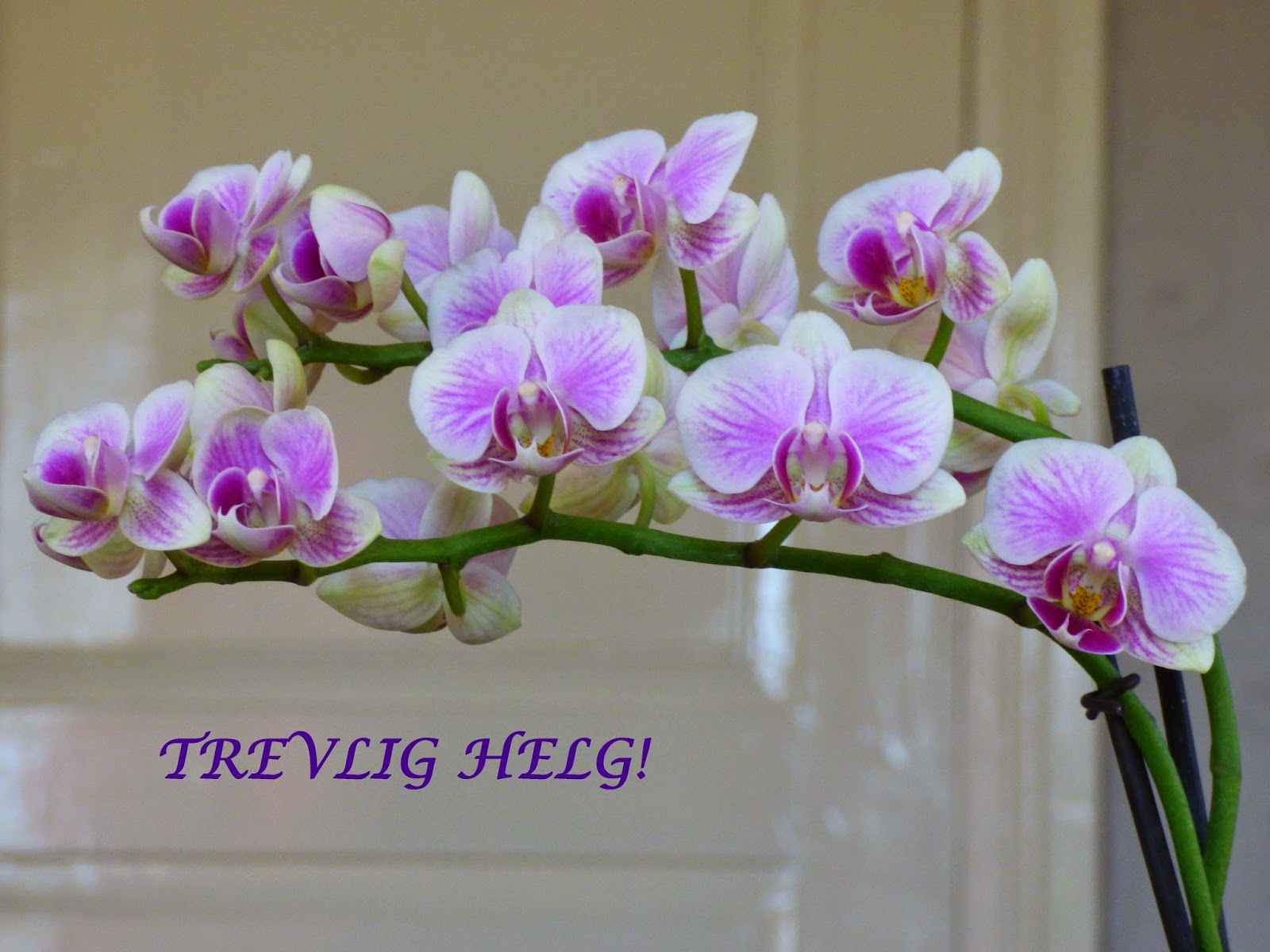 Skaparglädje: Trevlig Helg!