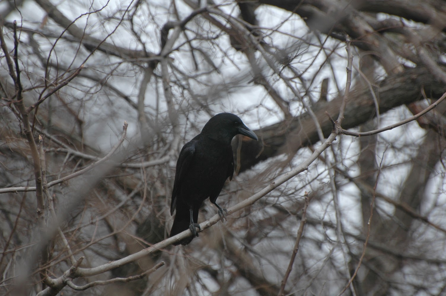 Older but better...?: March 2014