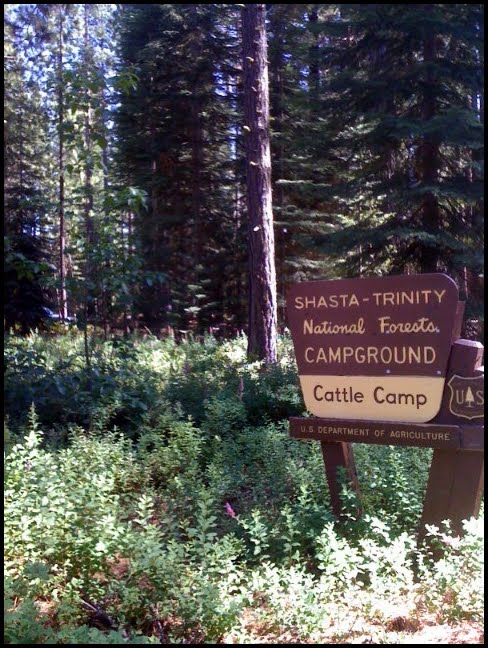 Siskiyou County Camping: Cattle Camp