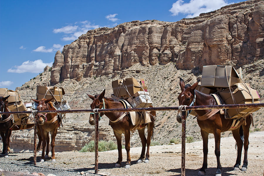 TRAVEL WITH ME: Havasupai, Grand Canyon, AZ (Part 1. Supai Village)