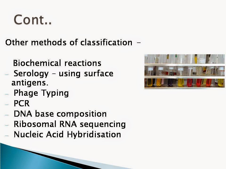 Microbiology : CLASSIFICATION OF MICROORGANISMS