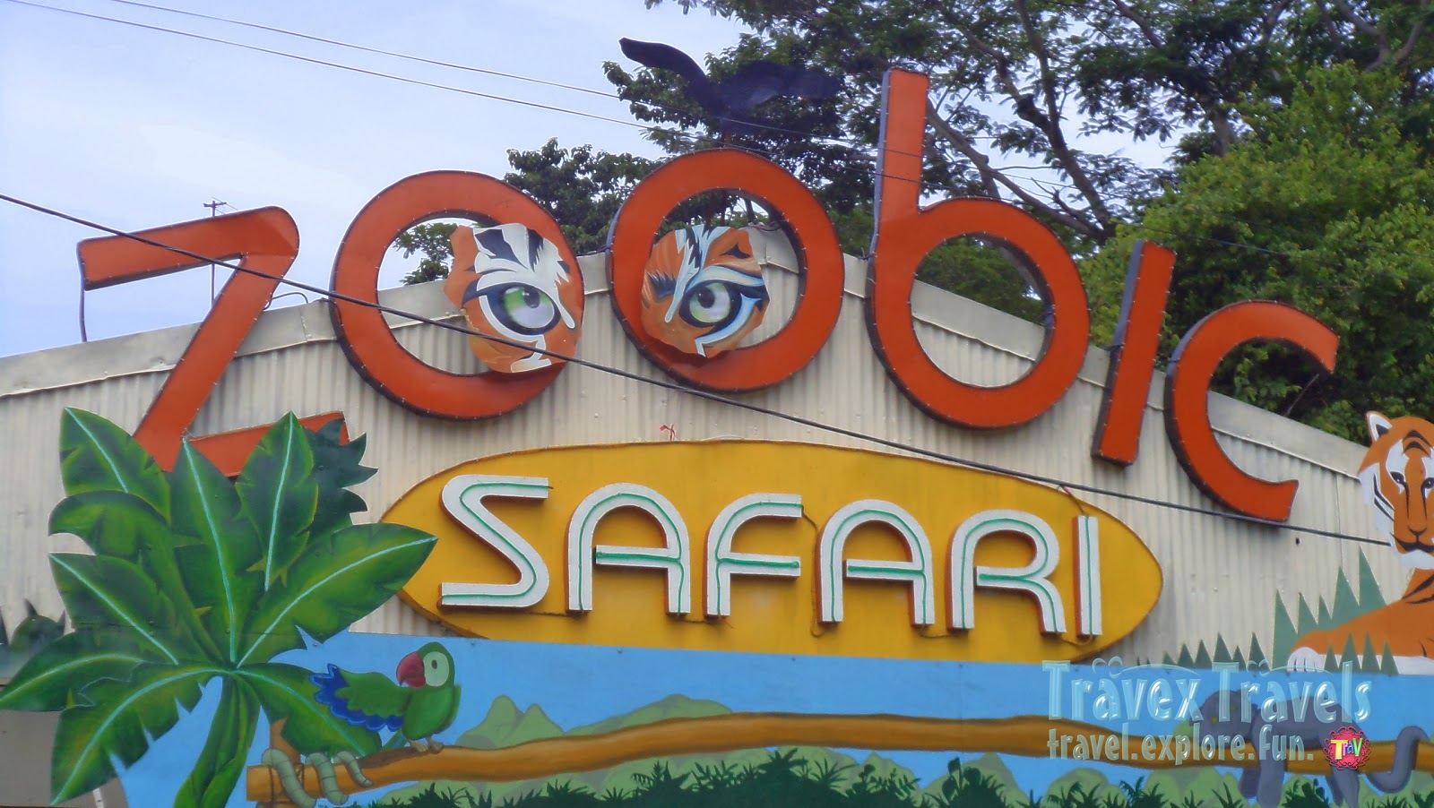 Zoobic Safari, A Zoo Leveled Up - Travex Travels - Travel. Explore. Fun ...