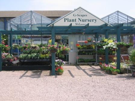 WildlifeKate to Gardener's World Live 2012: Working with G-Scapes in ...