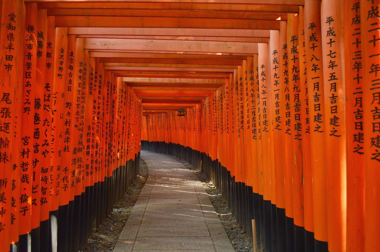 Adventures in Japan: Thousands of Tori