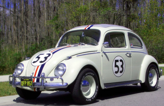 Unexpected Daisies: Slug Bug