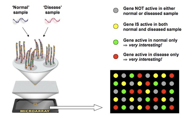 Cáncer de Mama: MIcroarrays de ADN