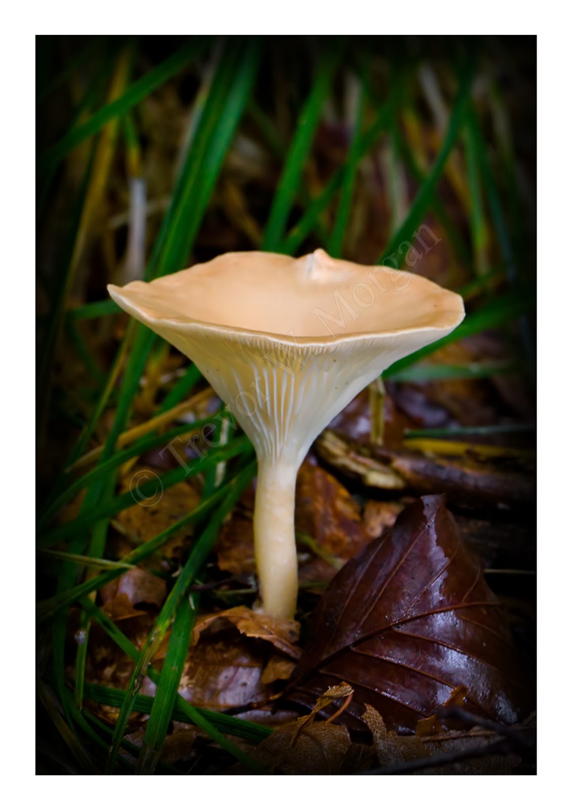 Three Counties Herald: WET KNEES, DIRTY ELBOWS AND A CRICK IN THE NECK