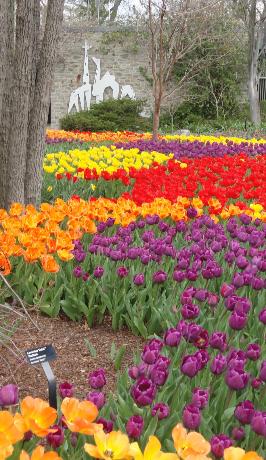 antoinette's adornments: zoo dayzzz....