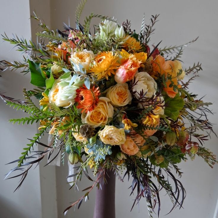 A Passion for Flowers: Grevillea Ivanhoe: A Fall Favorite