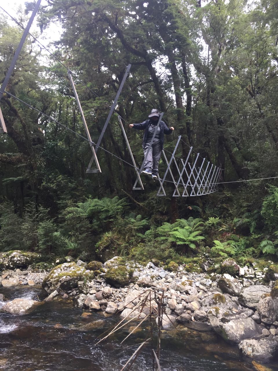 SV Footprint (Begonia): George Sound (Fiordland)