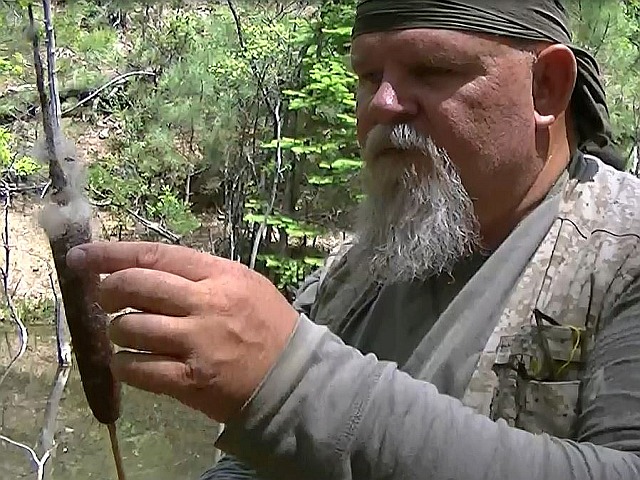 Sword Of Survival: Fire Starting With Cattail