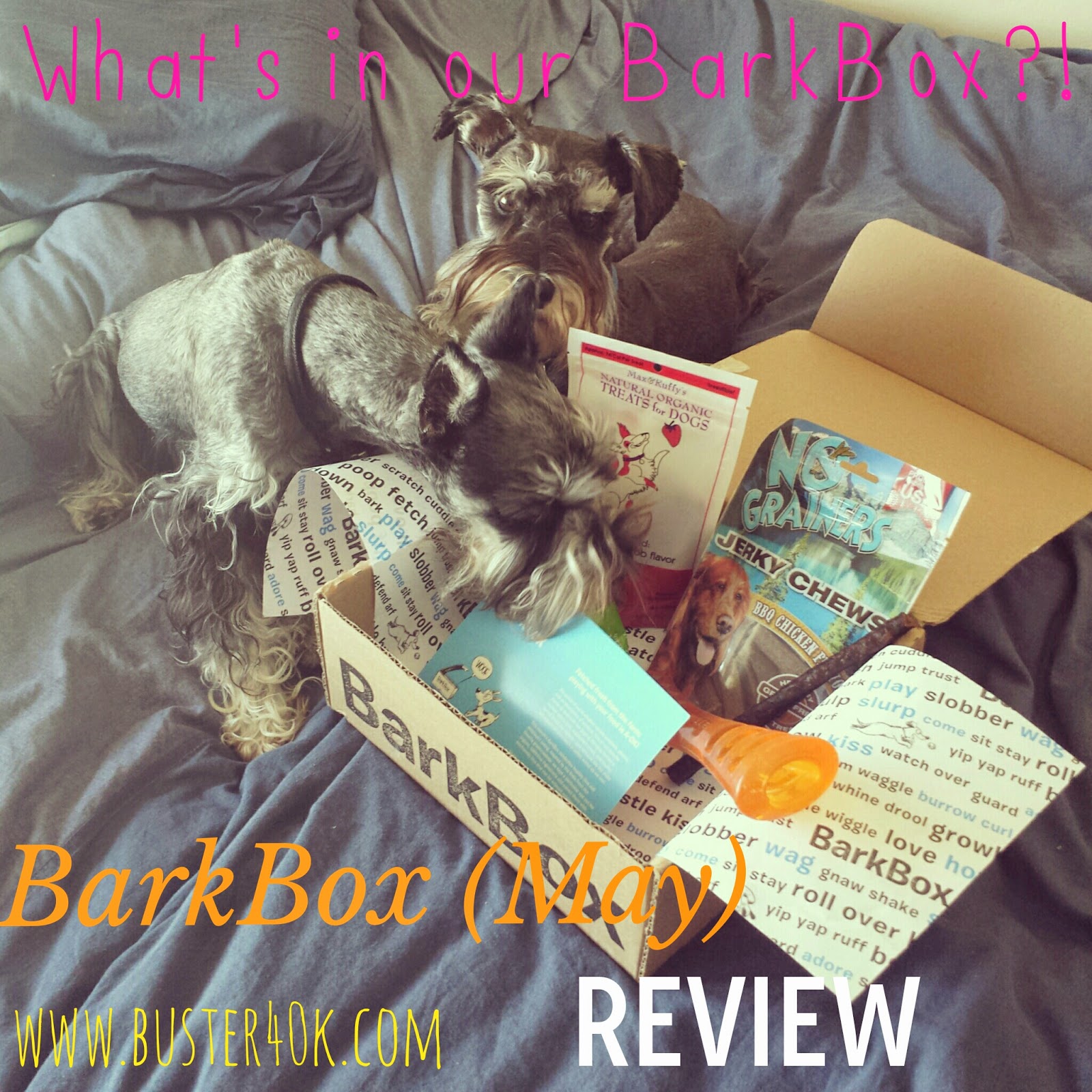 What's In My Beard?: BarkBox (May Review)
