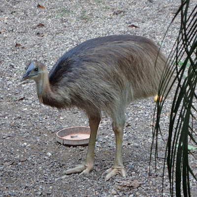 BunyipCo: April 2018