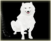 Cachorros ~ IMVU Pet's And Sims News