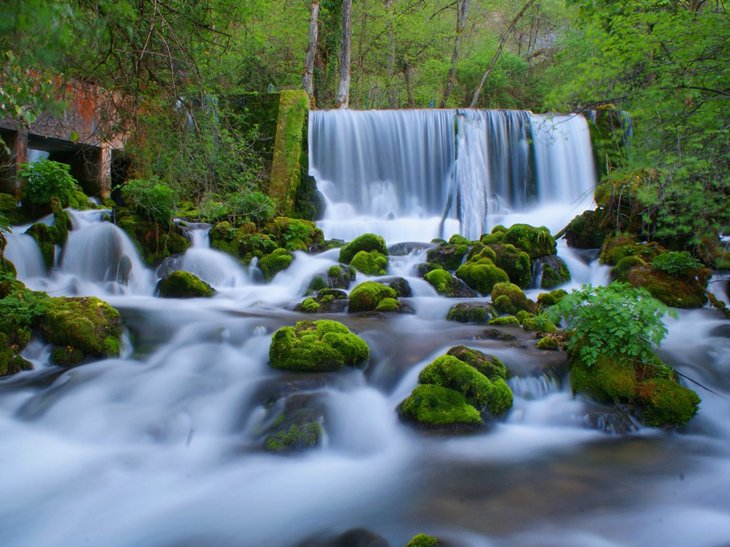 Serbia SOS: Discover Serbia: The Tara National Park