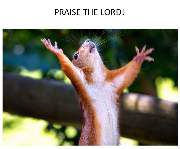 Contemplations: A PSALM OF PRAISE