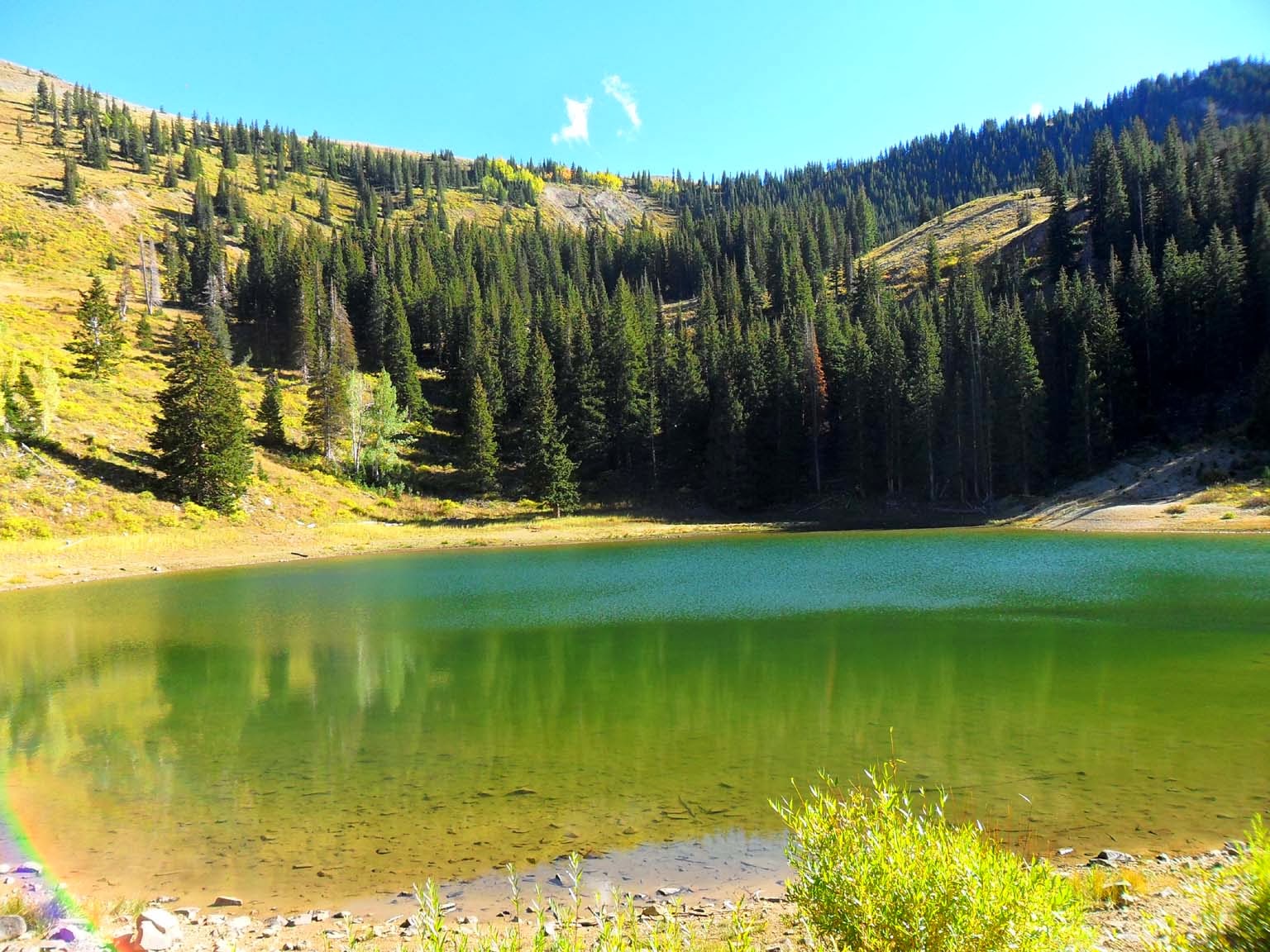 MOUTH FULL OF DIRT : Super D's Blog: Days on the Mountain