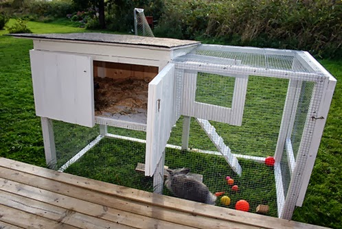 Kandang Kelinci Bagi Penghobi | Gambar Foto Kelinci