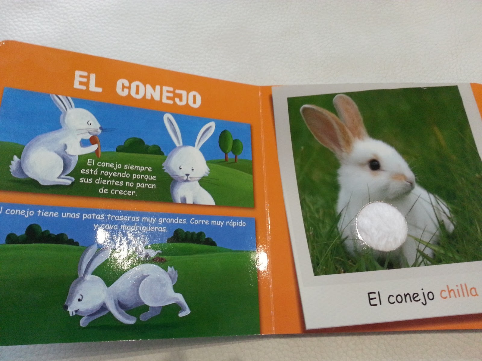 Libros que hay que leer: Mi cofre de los animales de la granja - MacMillan