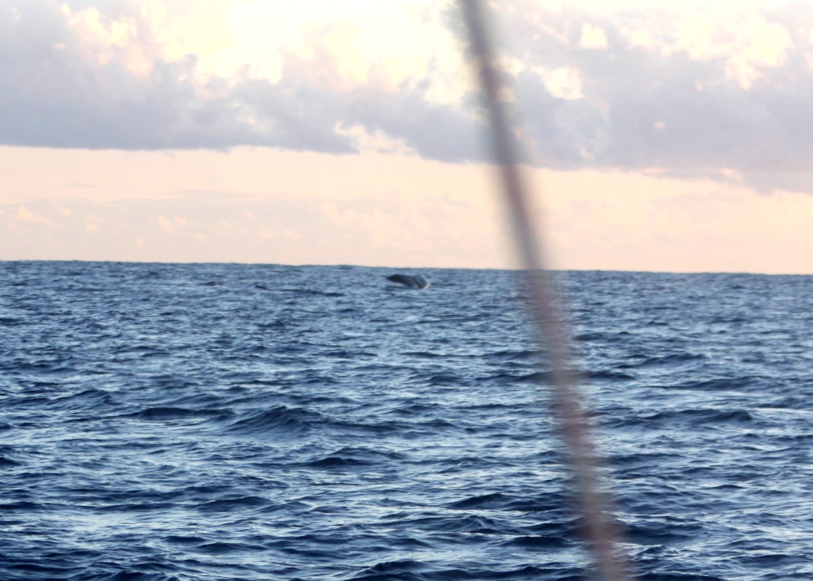 Dreamtime Sail: Crossing the Wide Bay Bar