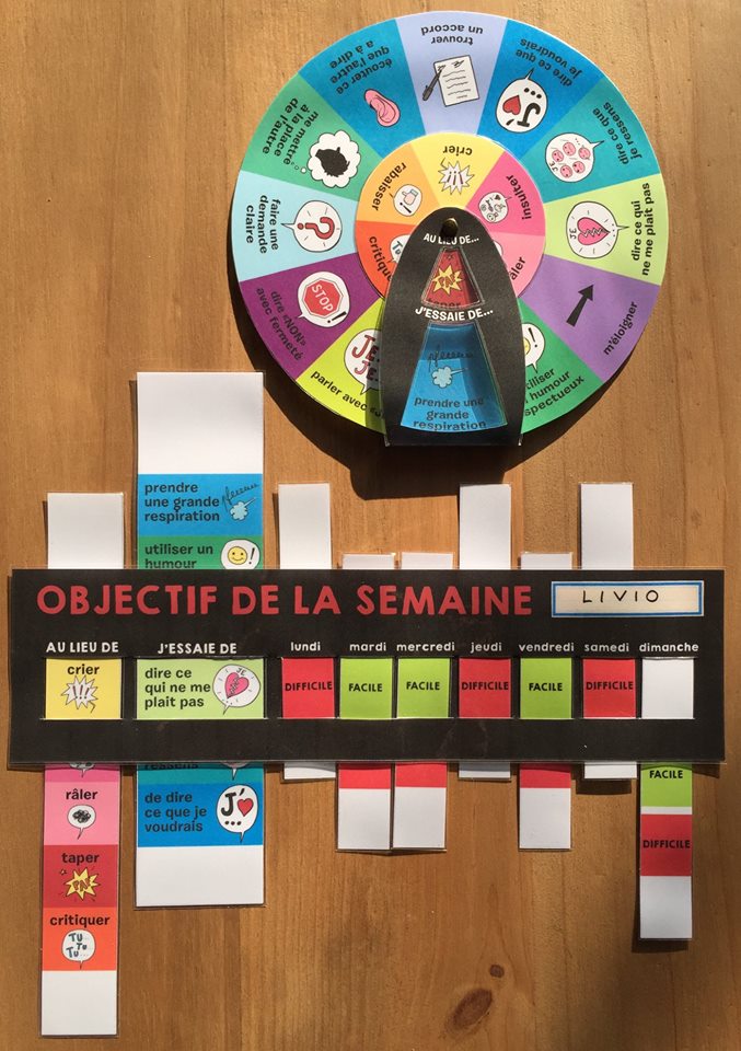 mamlynda: Roue des choix du comportement